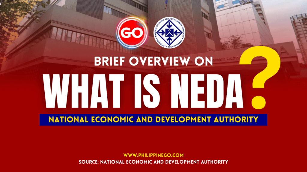 What Is NEDA? A Comprehensive Overview to the National Economic and ...